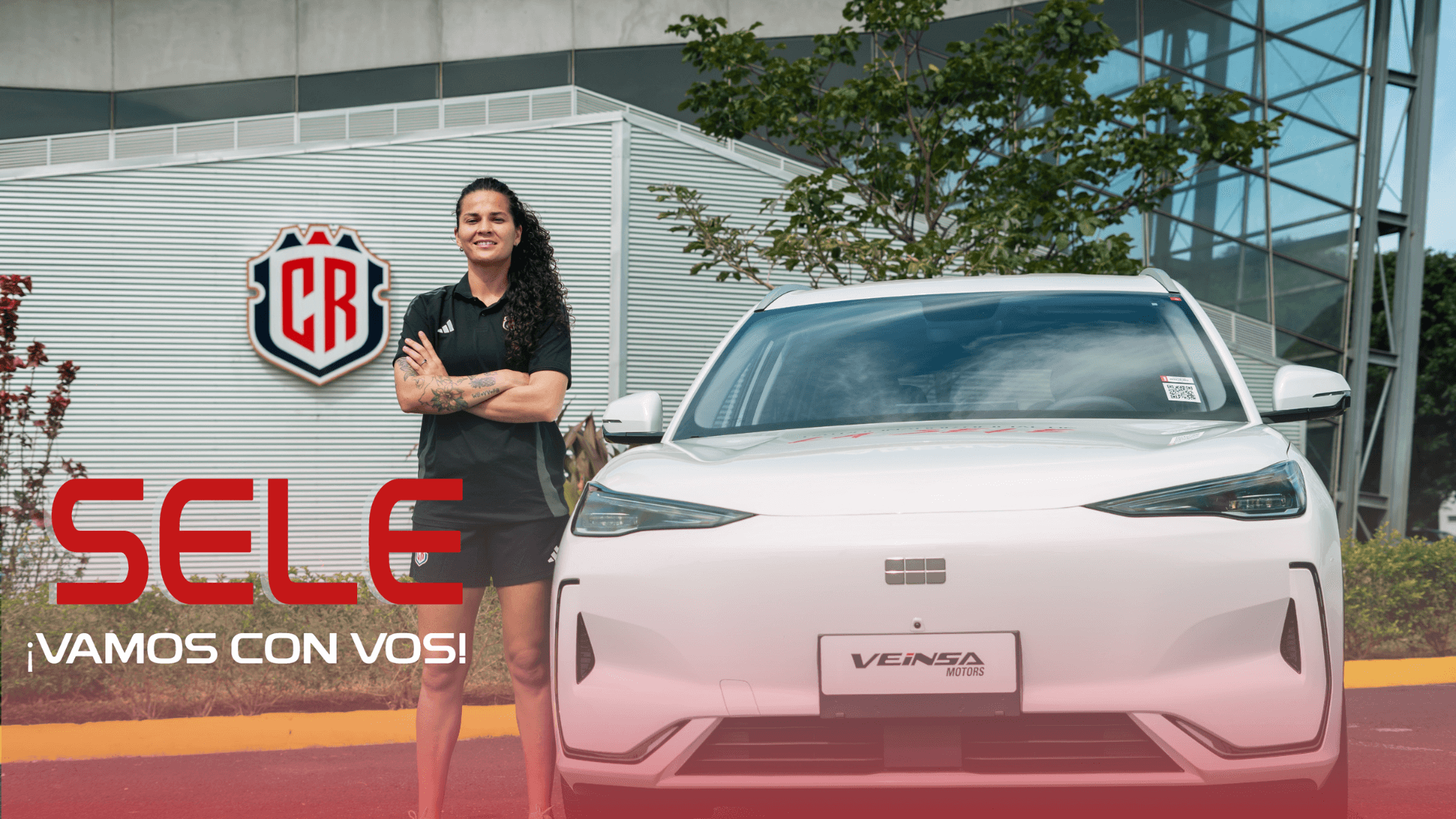 Veinsa Motors web